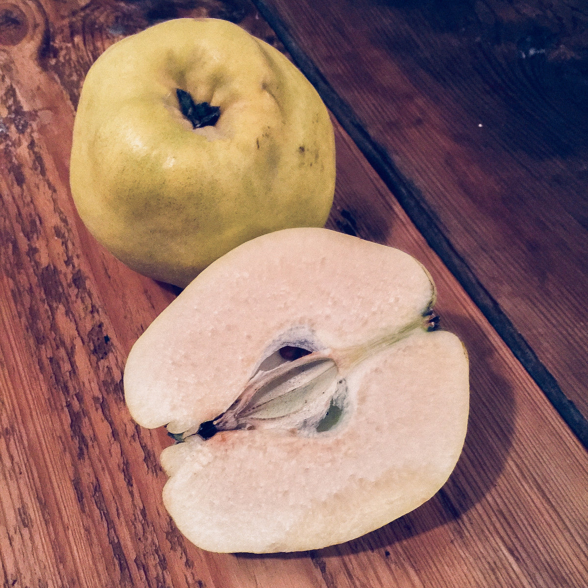 Die Quitte — Suur.ch